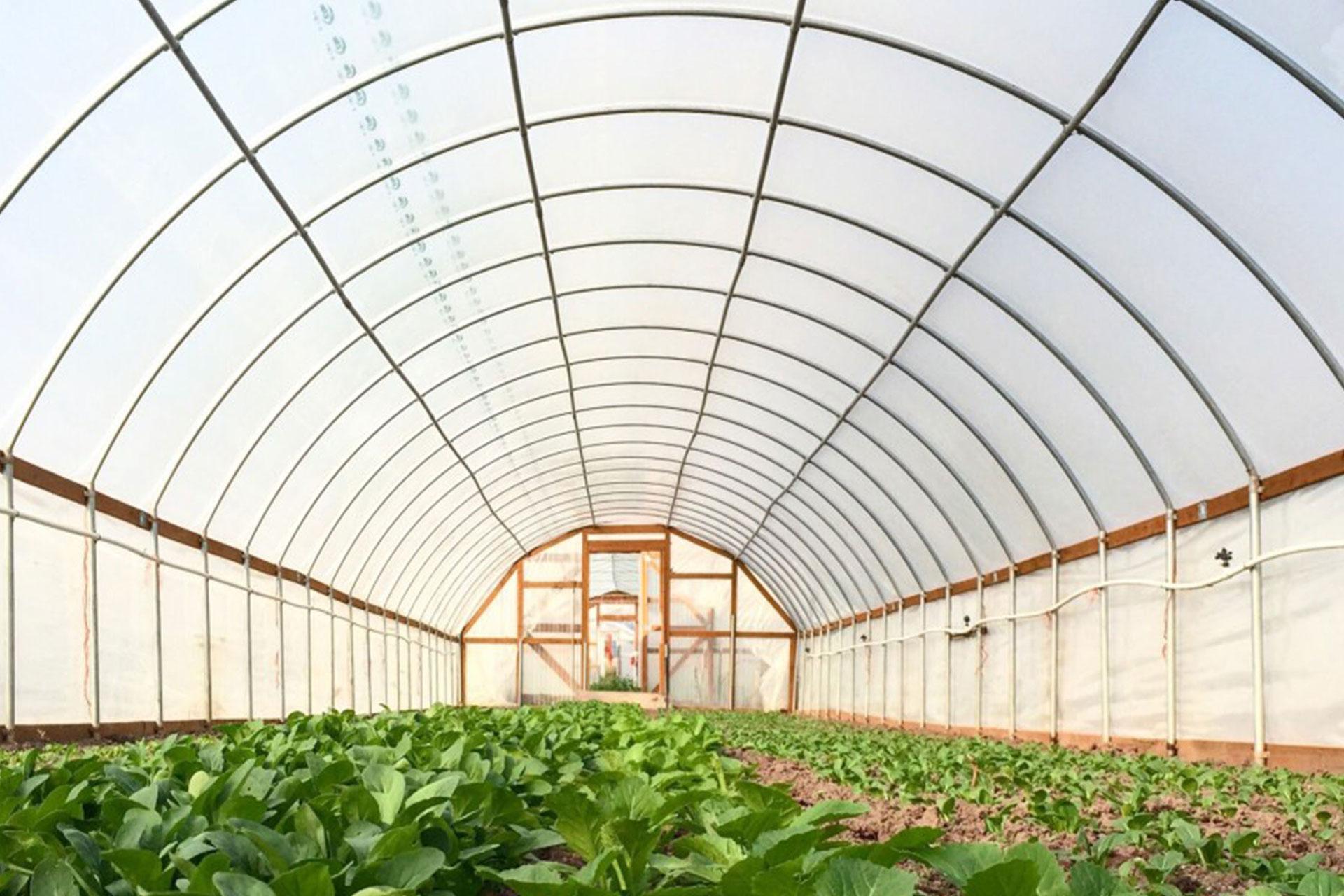 5 Different Usage and Applications of Polycarbonate Sheet - Parklane ...
